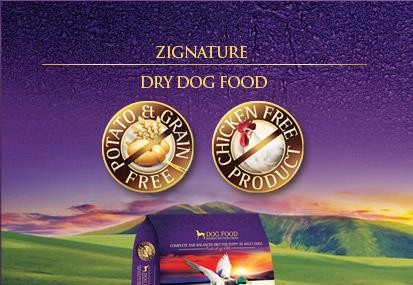 Home | Adventure Pets