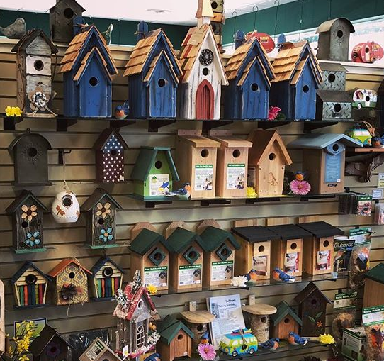 For The Birds | Bird Watcher Supply Company